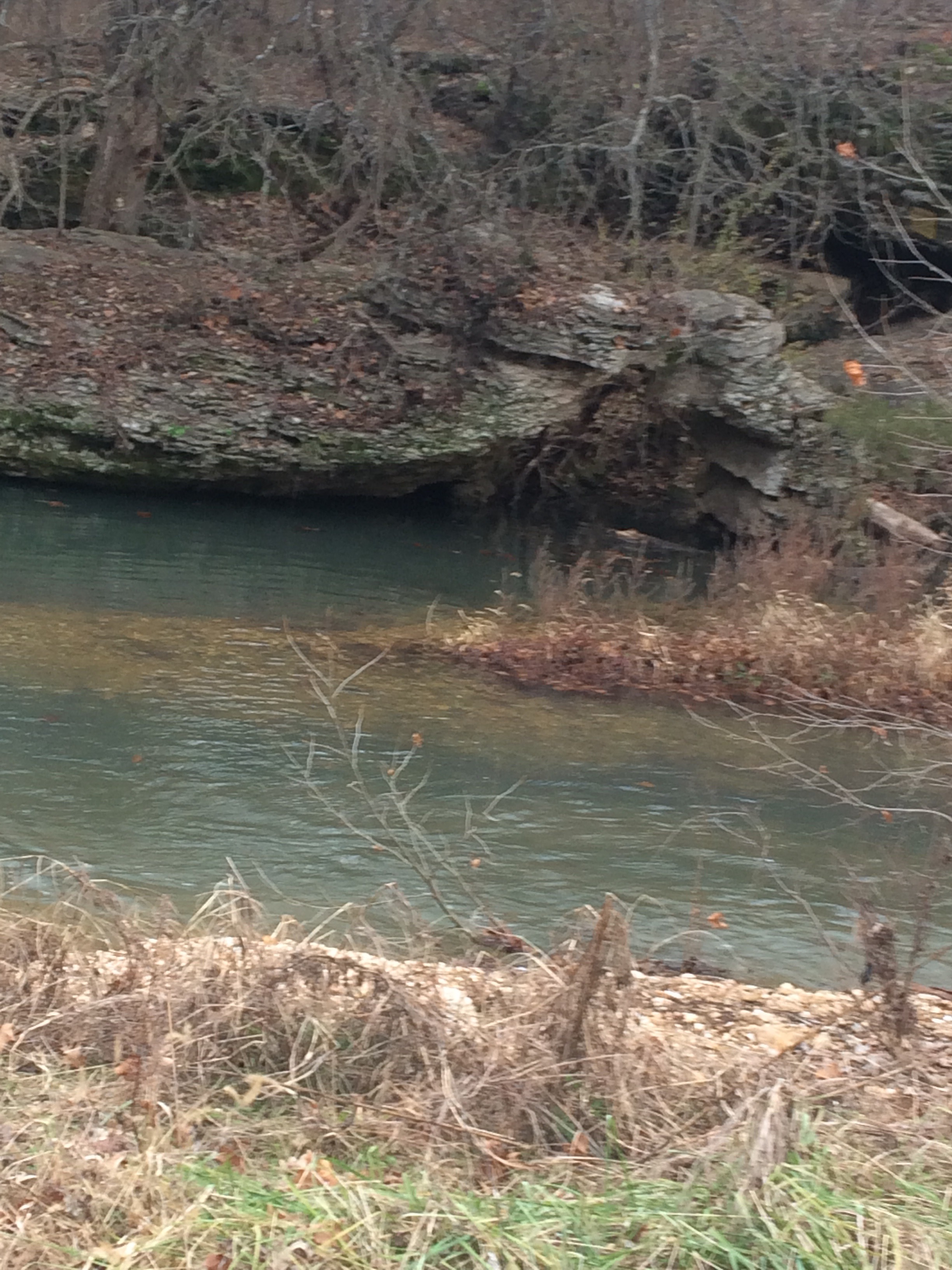 The Slanted Rock – TREY WOODS- THE OZARKS GEOLOGY and Geomophology